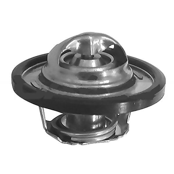DAYCO dt1025v термостат
