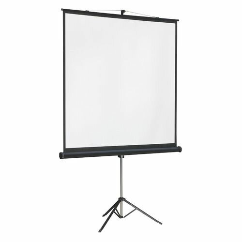 Экран Lumien Master View LMV-100105, 244х244 см, 1:1, напольный