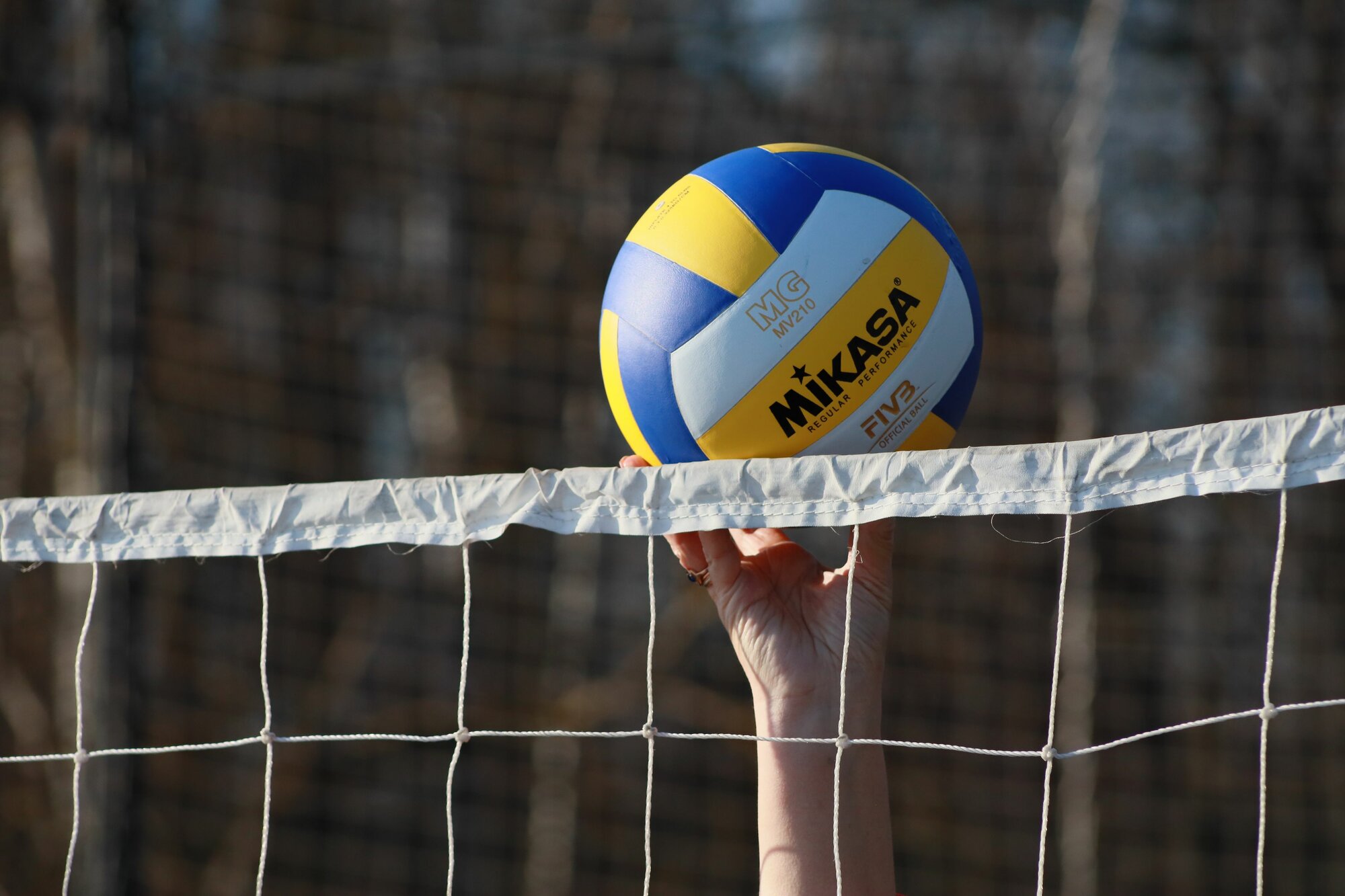 Мяч Волейбольный