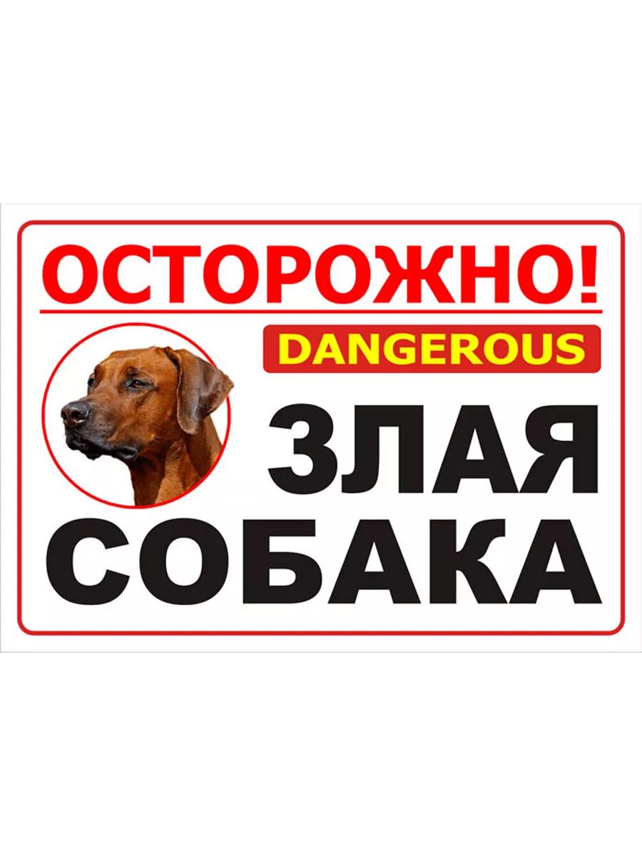 Табличка "Злая собака" 30х20см на пластике ПВХ 3мм