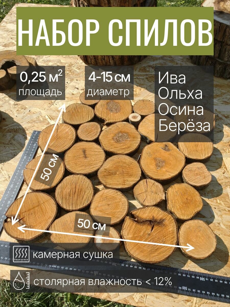 Набор спилов камерной сушки, d 4-14 см. h-3 см S-0.25 кв. м . для дизайна, творчества, трудов и декора.