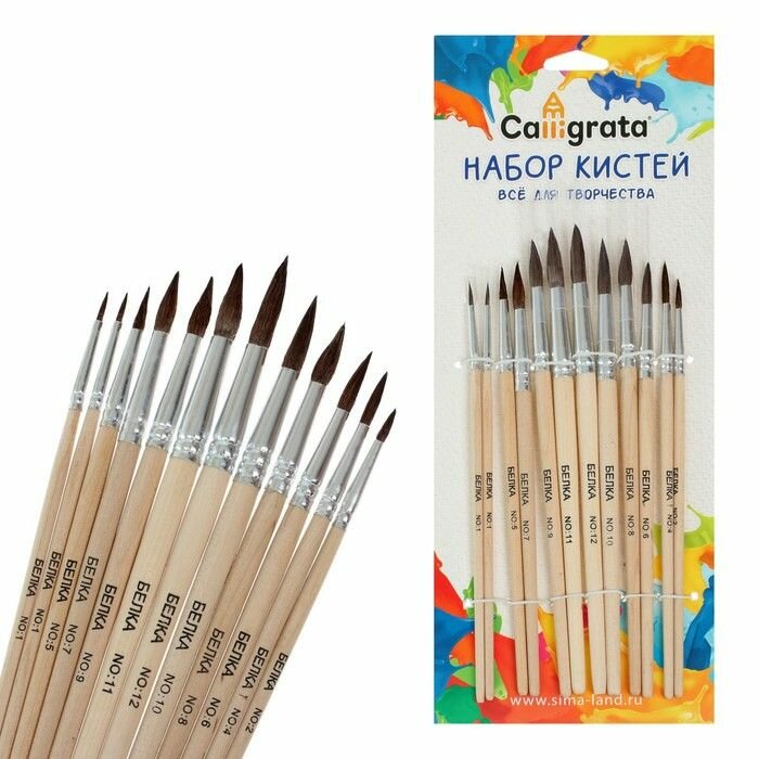 Набор кистей Calligrata Белка, круглые, 12 шт, №1, 2, 3, 4, 5, 6, 7, 8, 9, 10, 11, 12, деревянная ручка