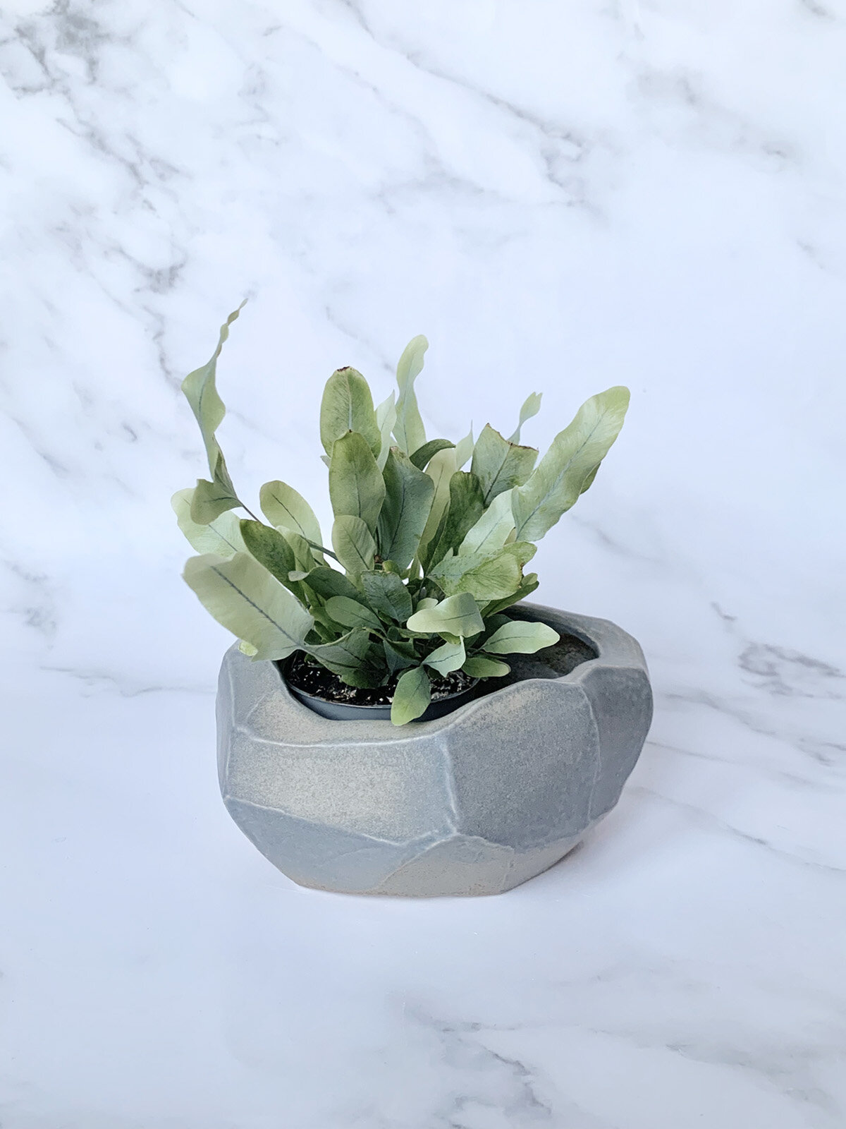 Кашпо для сукулента керамический