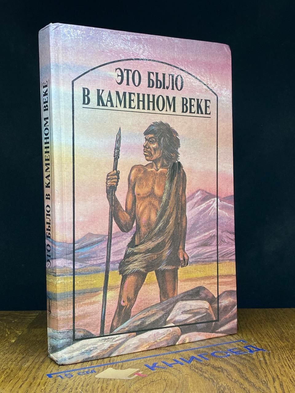 Книга. Это было в каменном веке 1989 (2044546851908)