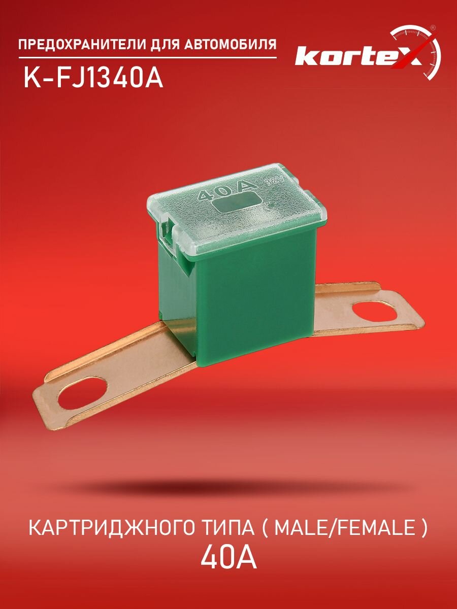 Предохранитель картриджного типа ( male/female ) 40A