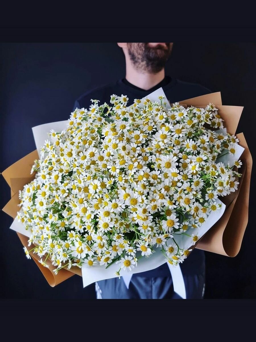 Букет из 25 ромашек