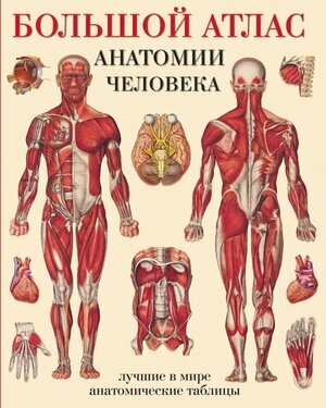 Мед ЛучшиеВМиреАнатомическиеТаблицы(о) Большой атлас анатомии человека