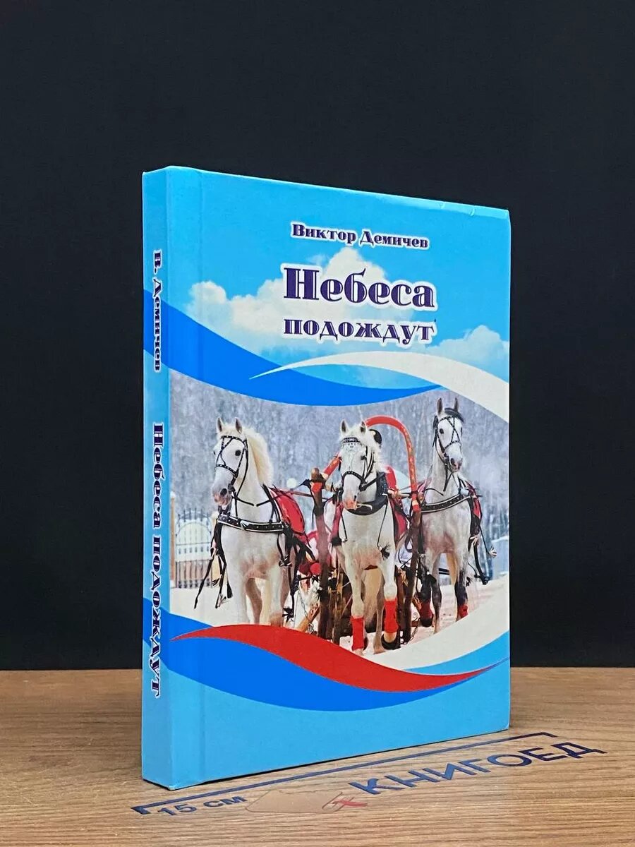 Книга. Небеса подождут 2022 (2039548180392)