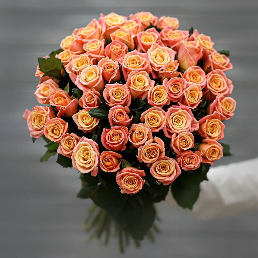 Букет живых цветов из 51 персиковой розы (Россия) с лентой 50 см