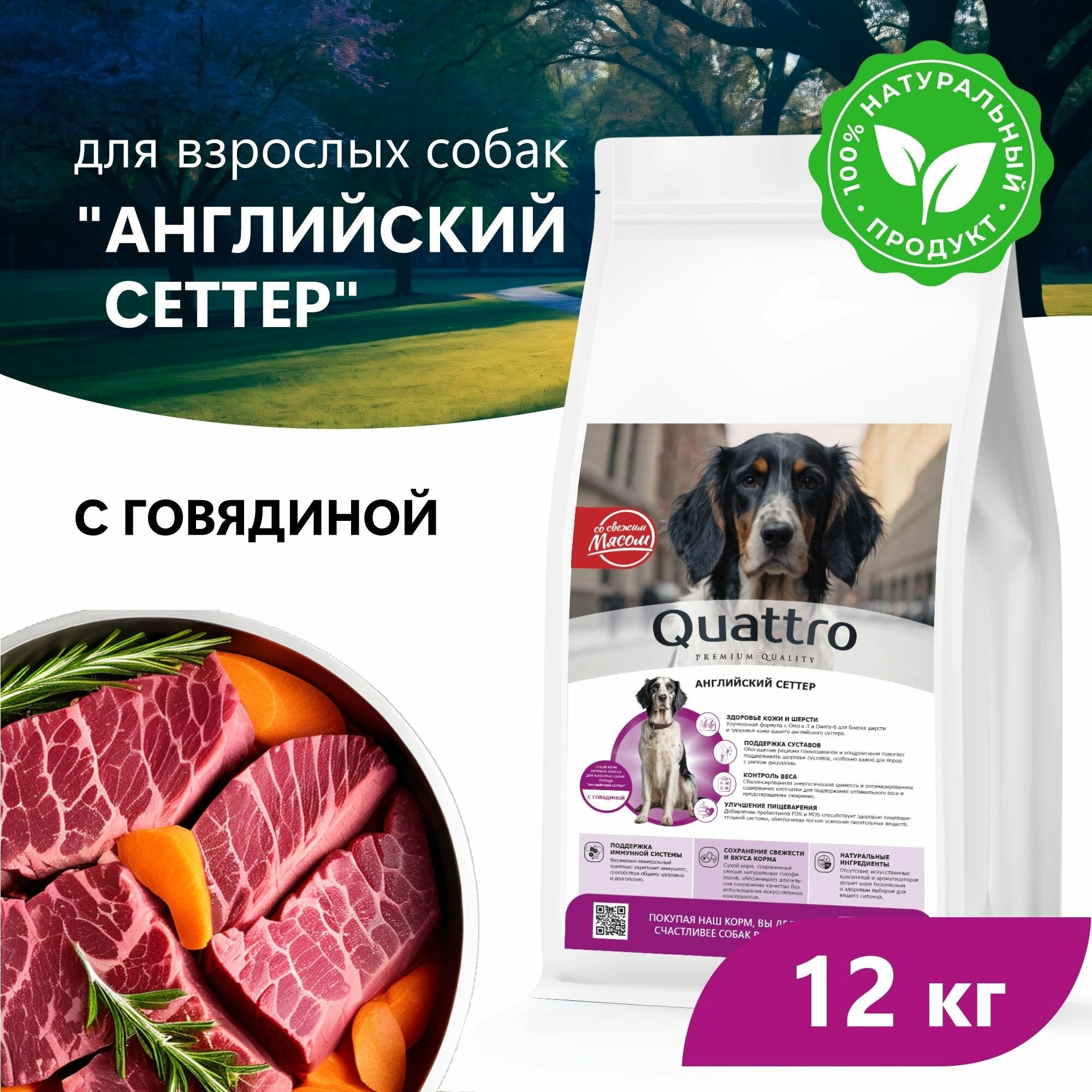 Quattro корм для взрослых собак породы Английский сеттер, с говядиной 12 кг