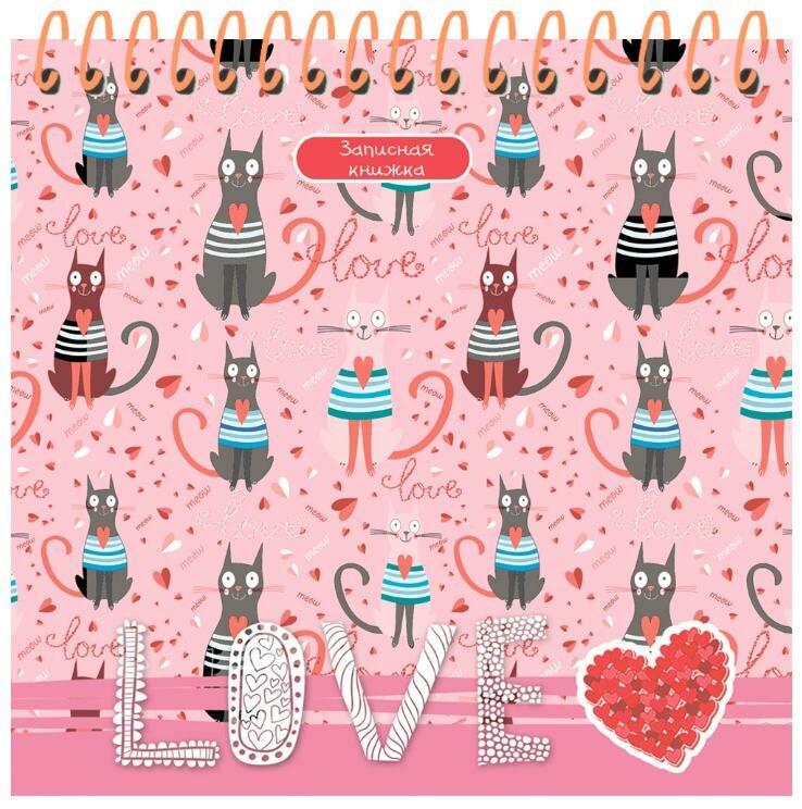 Записная книжка Проф-пресс А6+ 128 листов, на цветной спирали, романтичный орнамент-11, матовая ламинация (128-3935)