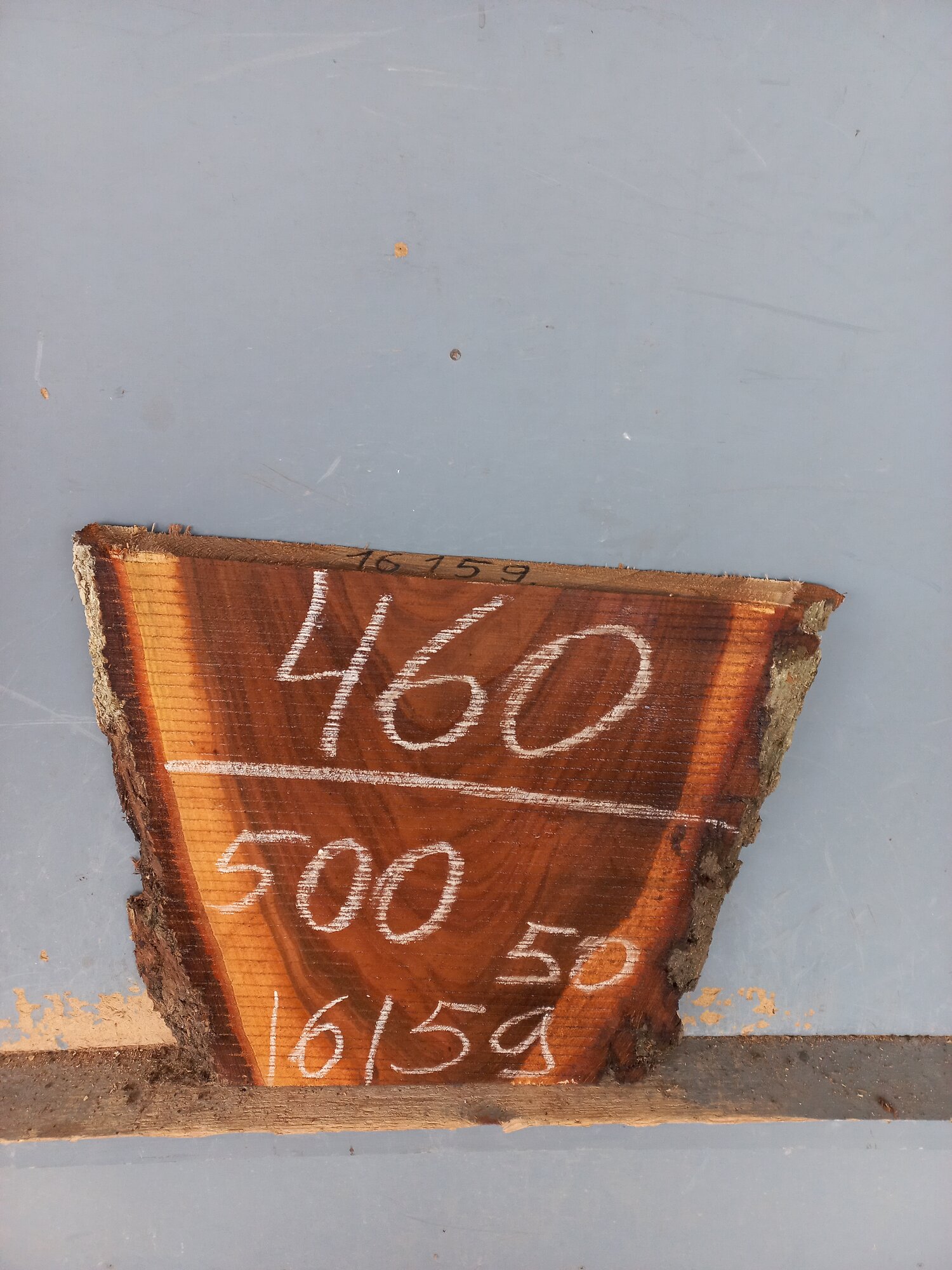 Слэб дерева Доклес №16159 "Карагач", 5x46x50см, для столешниц и подоконников