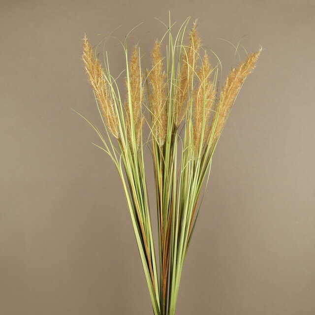 Декоративная ветка Кортадерия 100 см бежевая, Boltze, 2008437-2