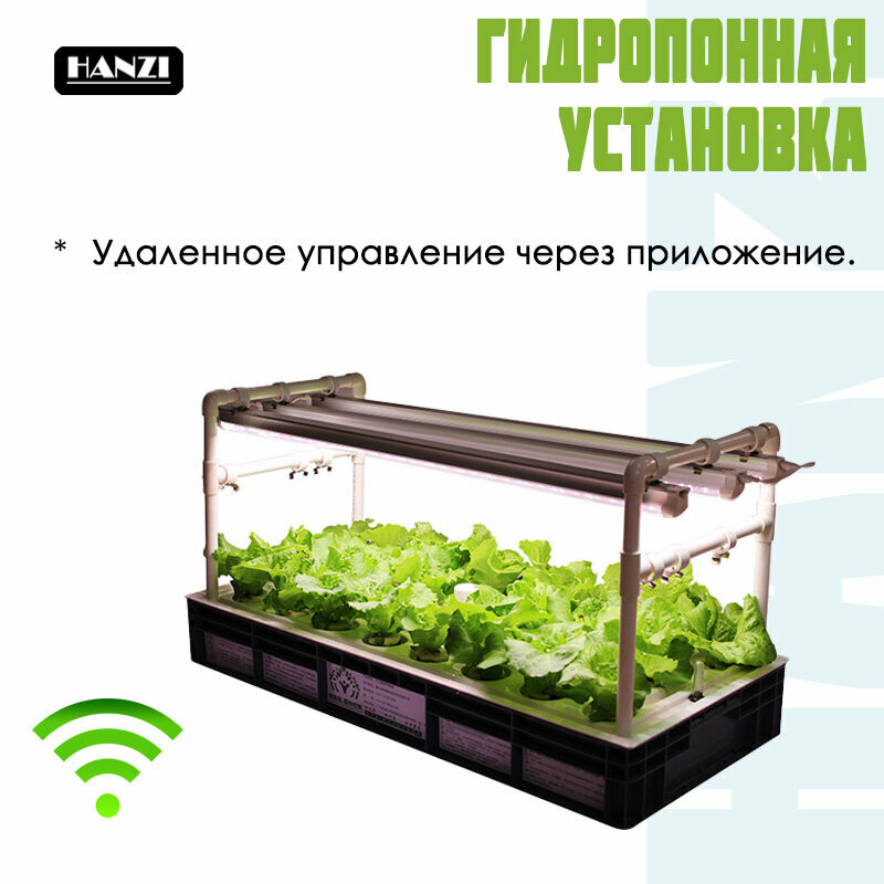 Гидропонная установка