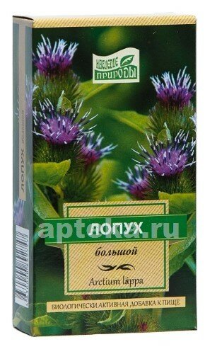 Наследие природы лопух большой