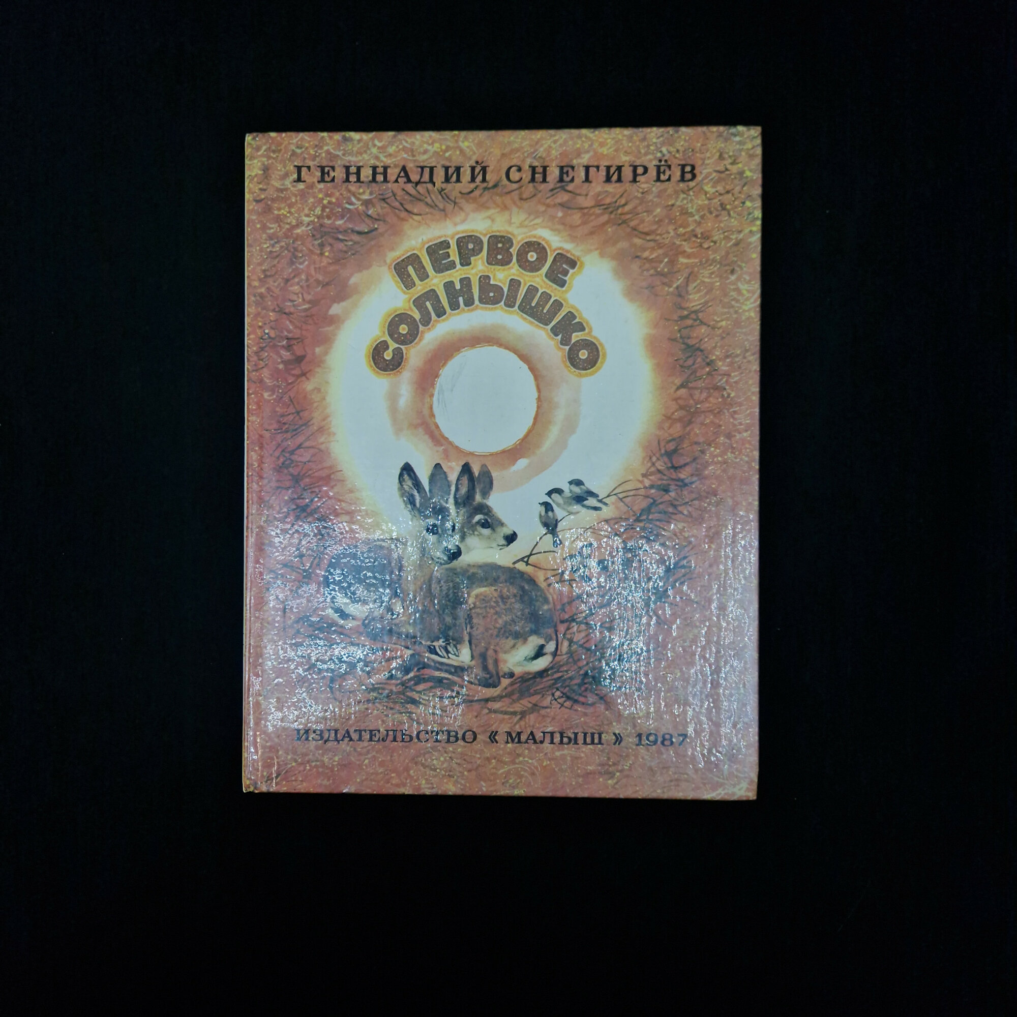 Книга винтажная, СССР. Геннадий Снегирёв, Первое солнышко, издательство Малыш, 1987
