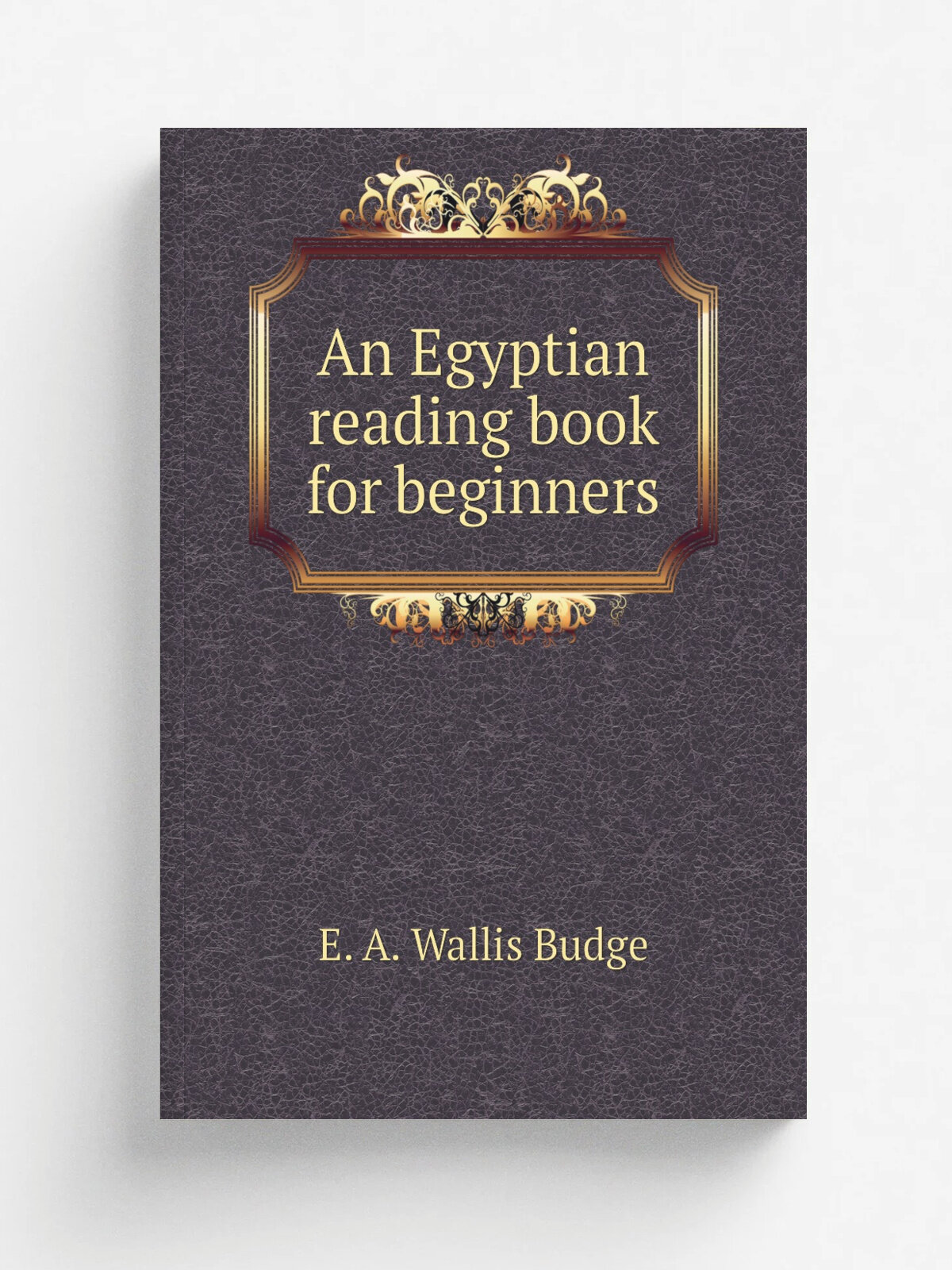 An Egyptian reading book for beginners