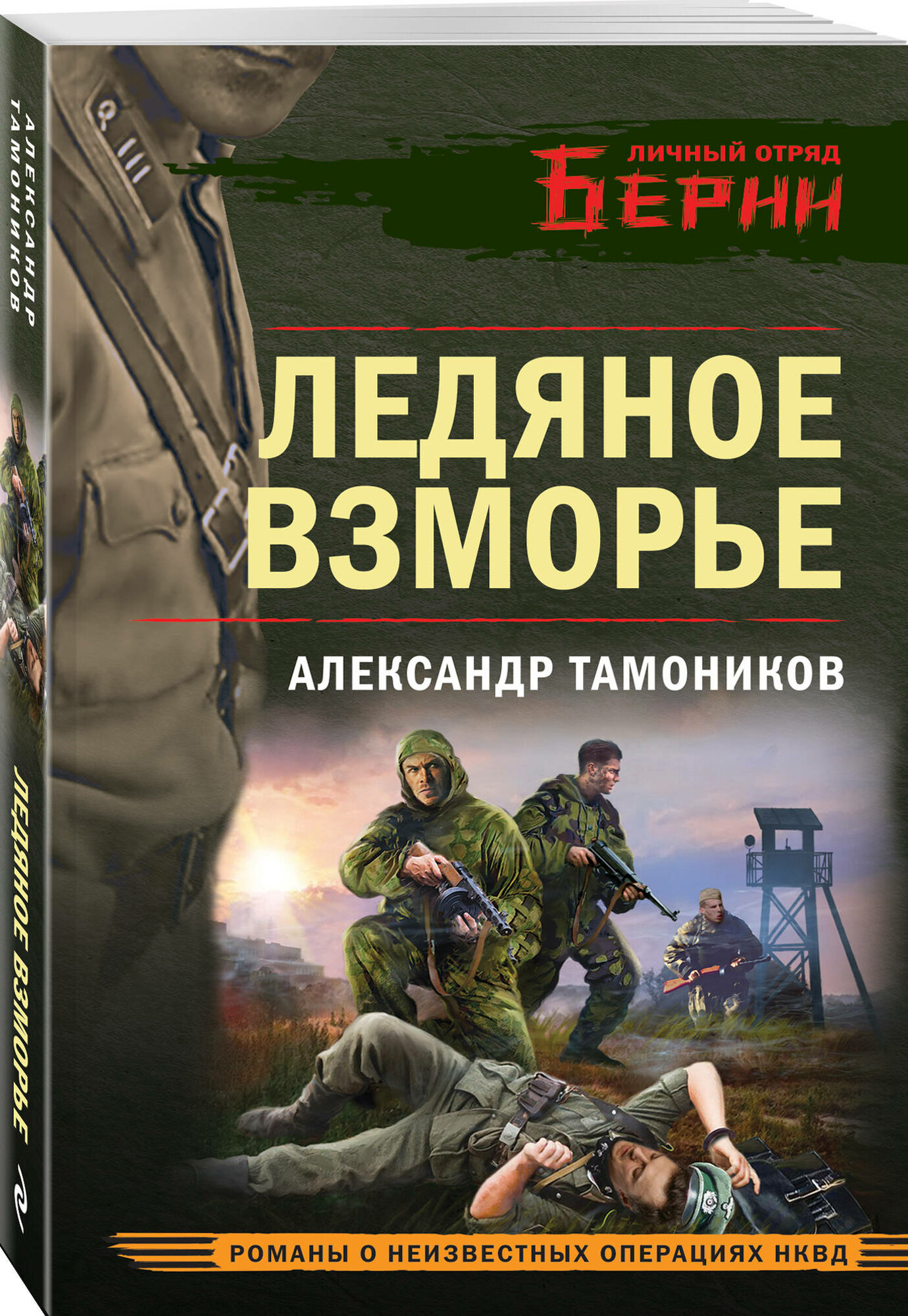 Тамоников А. А. Ледяное взморье