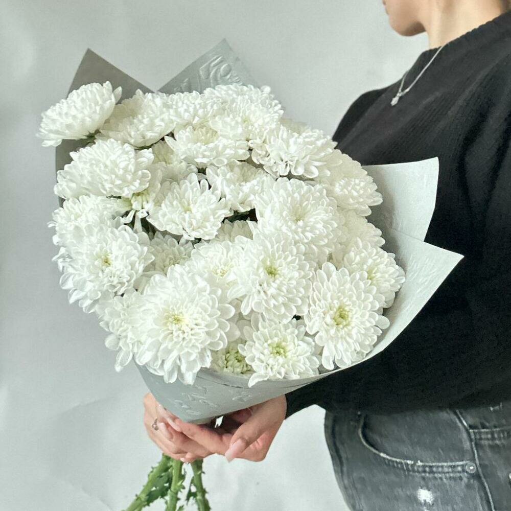 Монобукет из хризантем "Алтай", 5 шт, стойкость до 2 недель, белый цвет