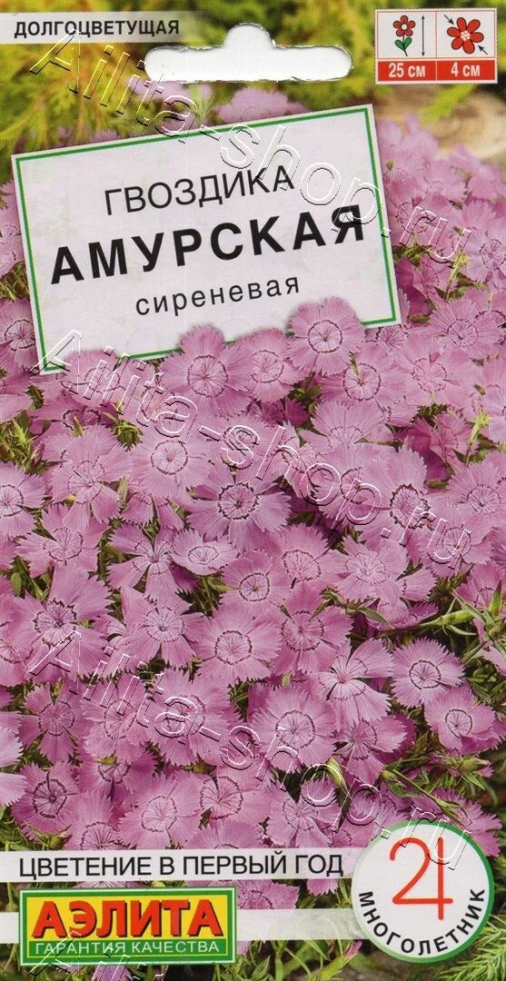 Гвоздика Амурская сиреневая (3 упаковки), семена