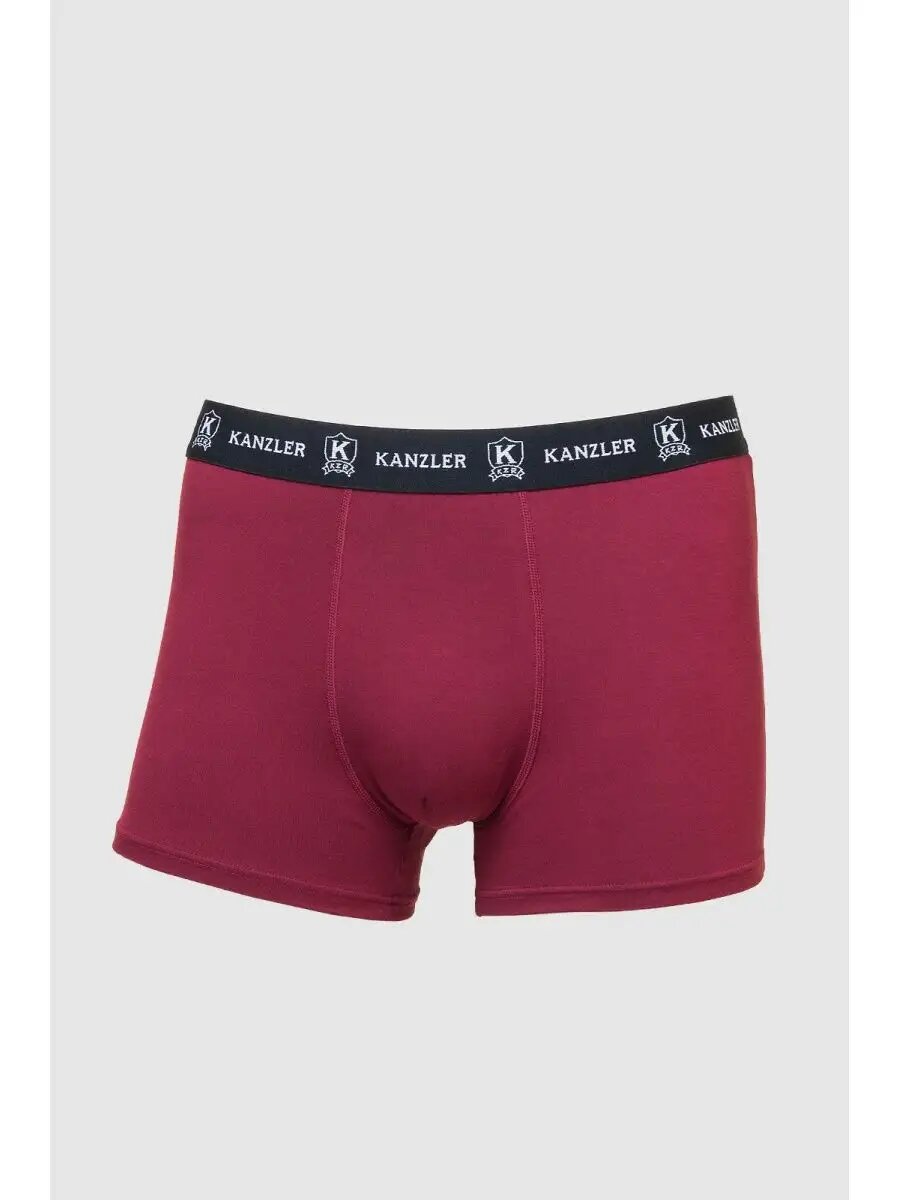 Трусы KANZLER