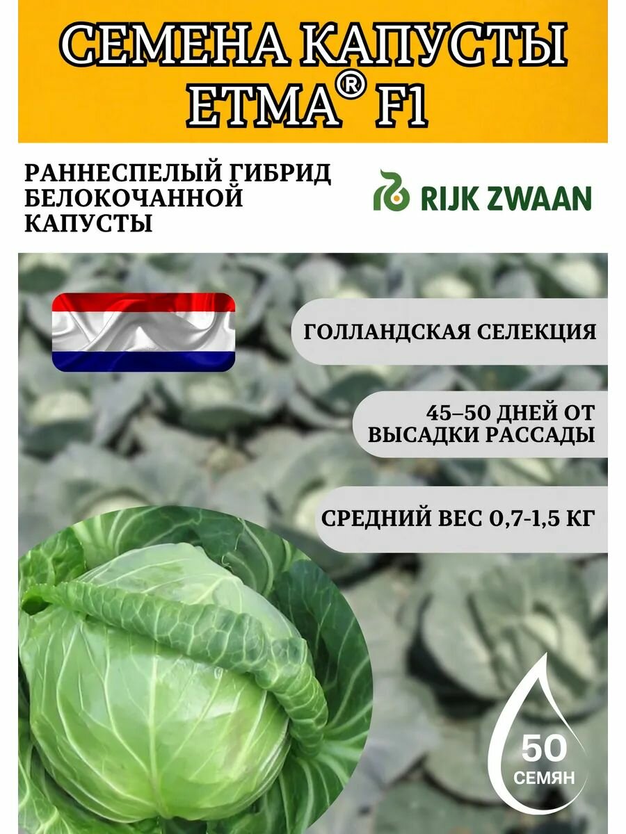 Семена капусты белокочанной RIJK ZWAAN Етма , раннеспелые, 50 шт