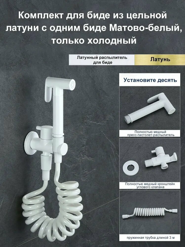 Лейка гигиеническая для биде (кран для холодной воды) RO5501W2 лейка, 3 M шланг, кранМодный белый , латунь, Круглый