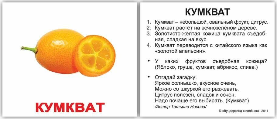Обучающие карточки Домана Вундеркинд с пеленок "Мини-40. Фрукты", 40 развивающих двусторонних карточек, 8х10 см