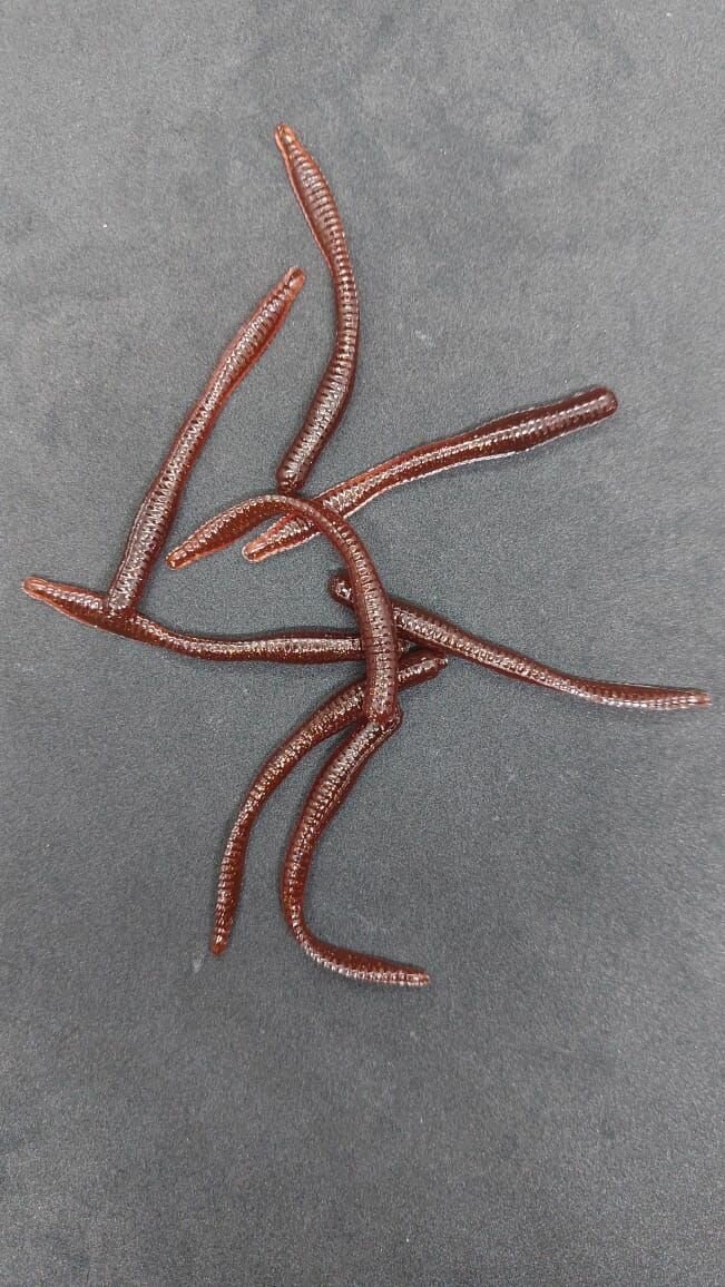 Силиконовые сьедобные приманки "Бобровый хвост". цвет машинное масло