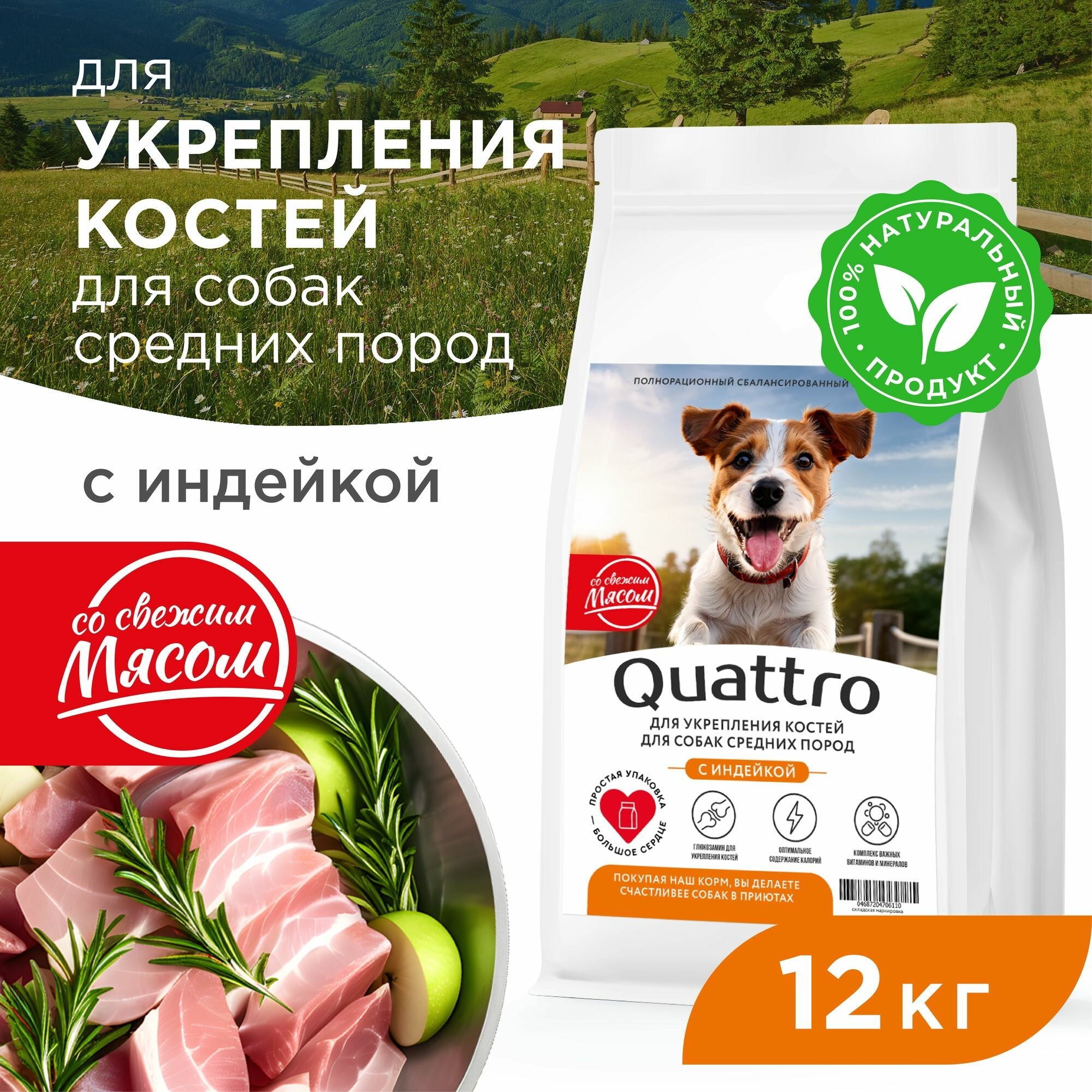 Корм сухой для взрослых собак средних пород, премиум полнорационный комплекс, укрепление костей, с индейкой, 12 кг, QUATTRO