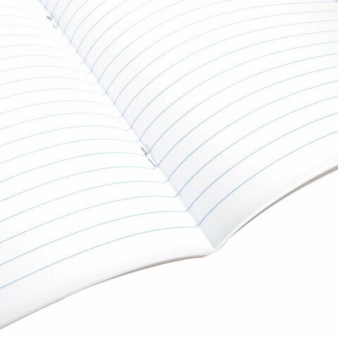 Тетрадь предметная "МИР знаний" 36 л, обложка мелованная бумага, литература, линия, BRAUBERG, 404601