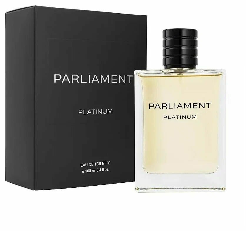 Туалетная вода Loren Cosmetic "PARLIAMENT Platinum", фужерный аромат, мужская, 100мл