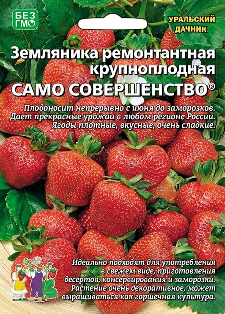 Цена за 10 пачек! Семена Земляника Само совершенство ремонтантная 10 шт (Уральский Дачник)