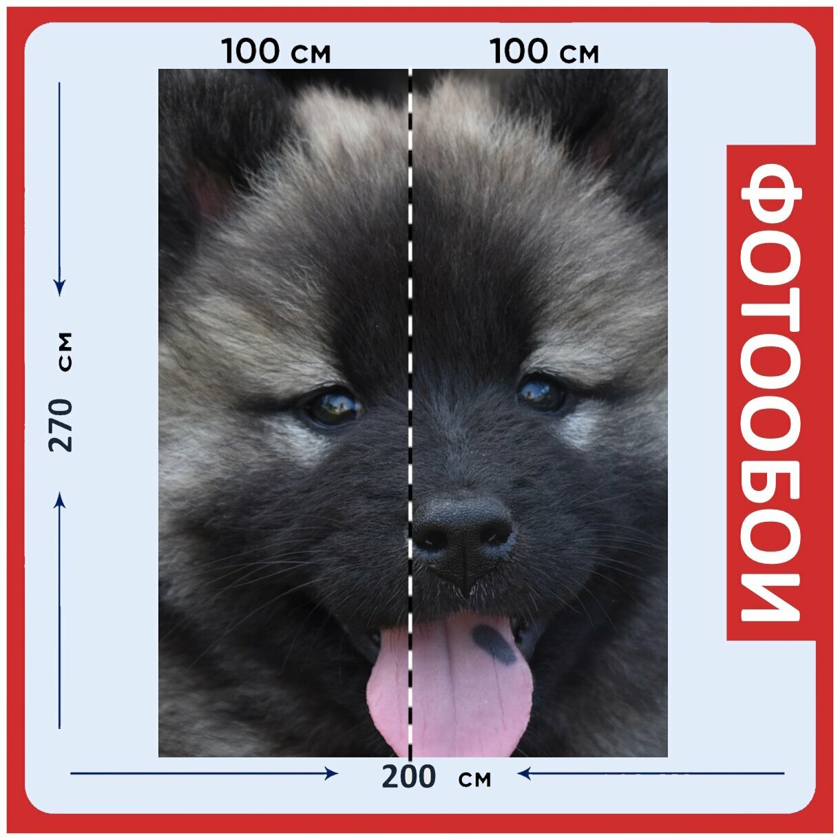 Фотообои "Собака, собачий, щенок" 200x270 см. флизелиновыена стену