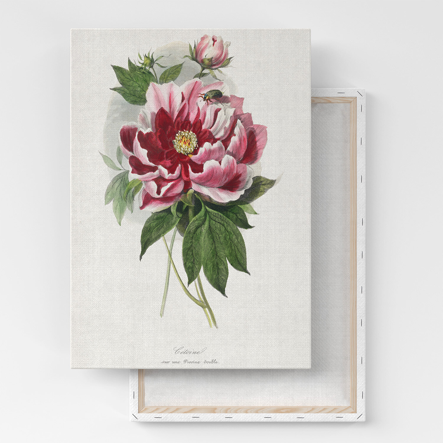 Картина на холсте, репродукция / Le Jardin des Plante / Размер 30 x 40 см