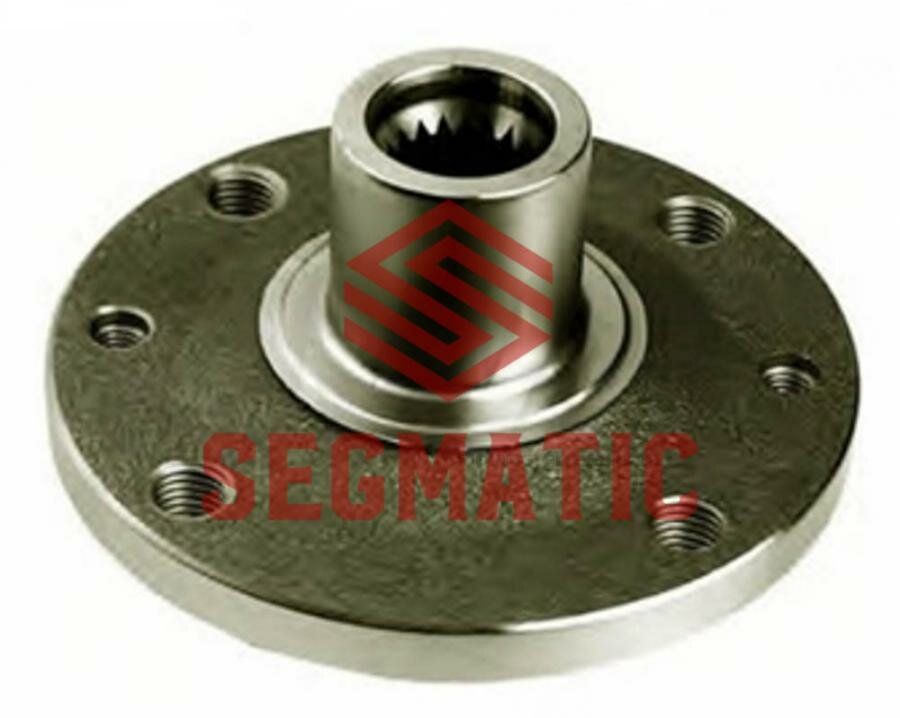 SEGMATIC SGWH30204060 Ступица колеса в сборе перед; Renault Q10, Kangoo, R19 I, R19 II, R21, Clio I, clio II, Laguna, Mega