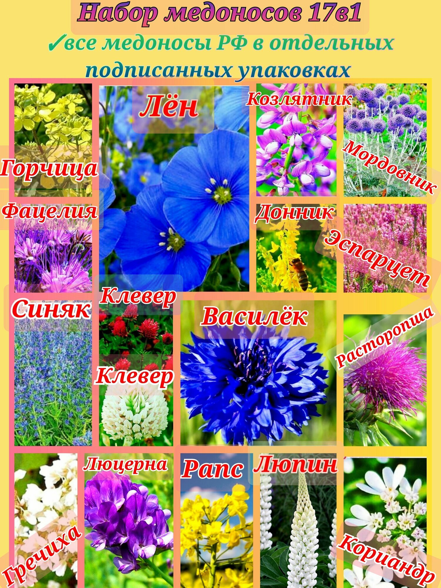 Набор медононых семян 17в1 20гр. мордовник эспарцет фацелия синяк донник козлятни клевер красный/ белый горчица гречиха, люпин, люцерна, рапс, расторопша , василёк , кориандр