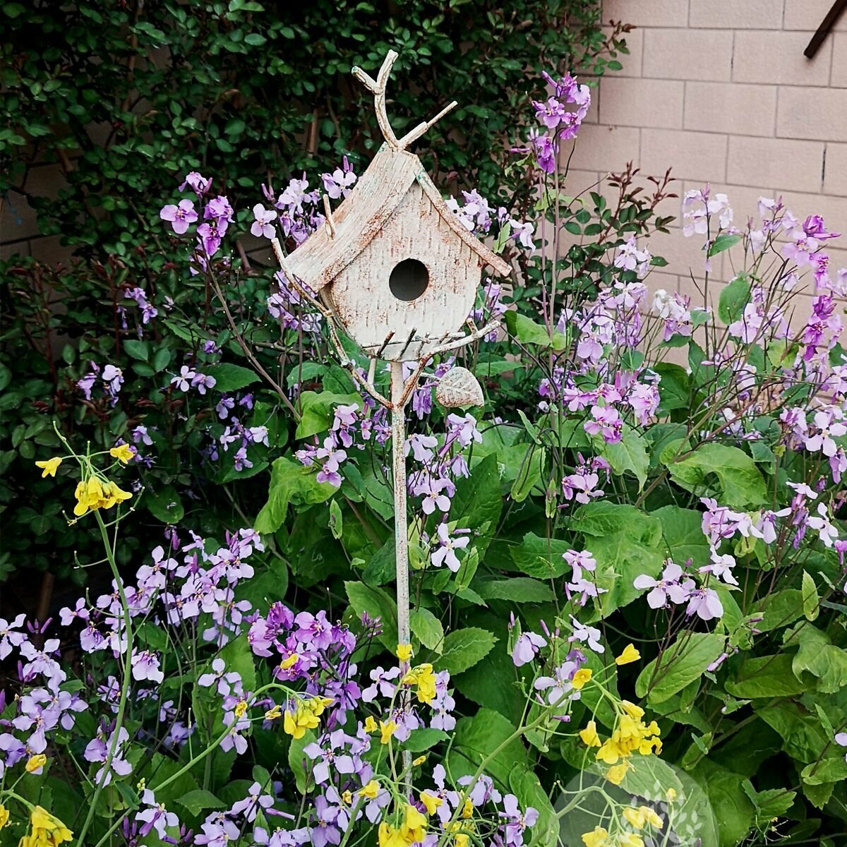 Старое птичье гнездо цветочная композиция садовая альпинистская рама