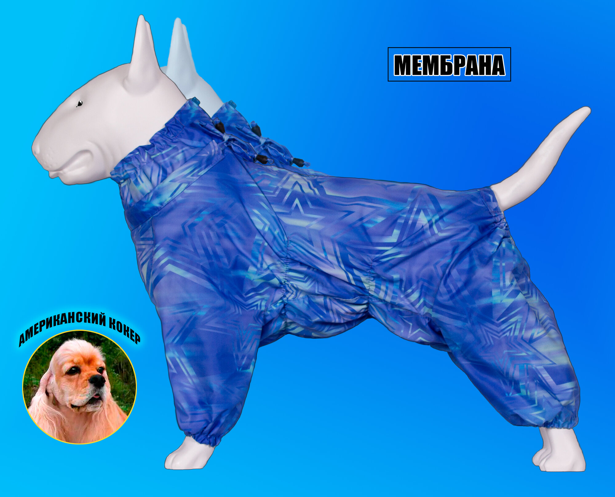 Комбинезон-дождевик для американского кокер-спаниеля кобеля, мембрана, цвет Звёзды