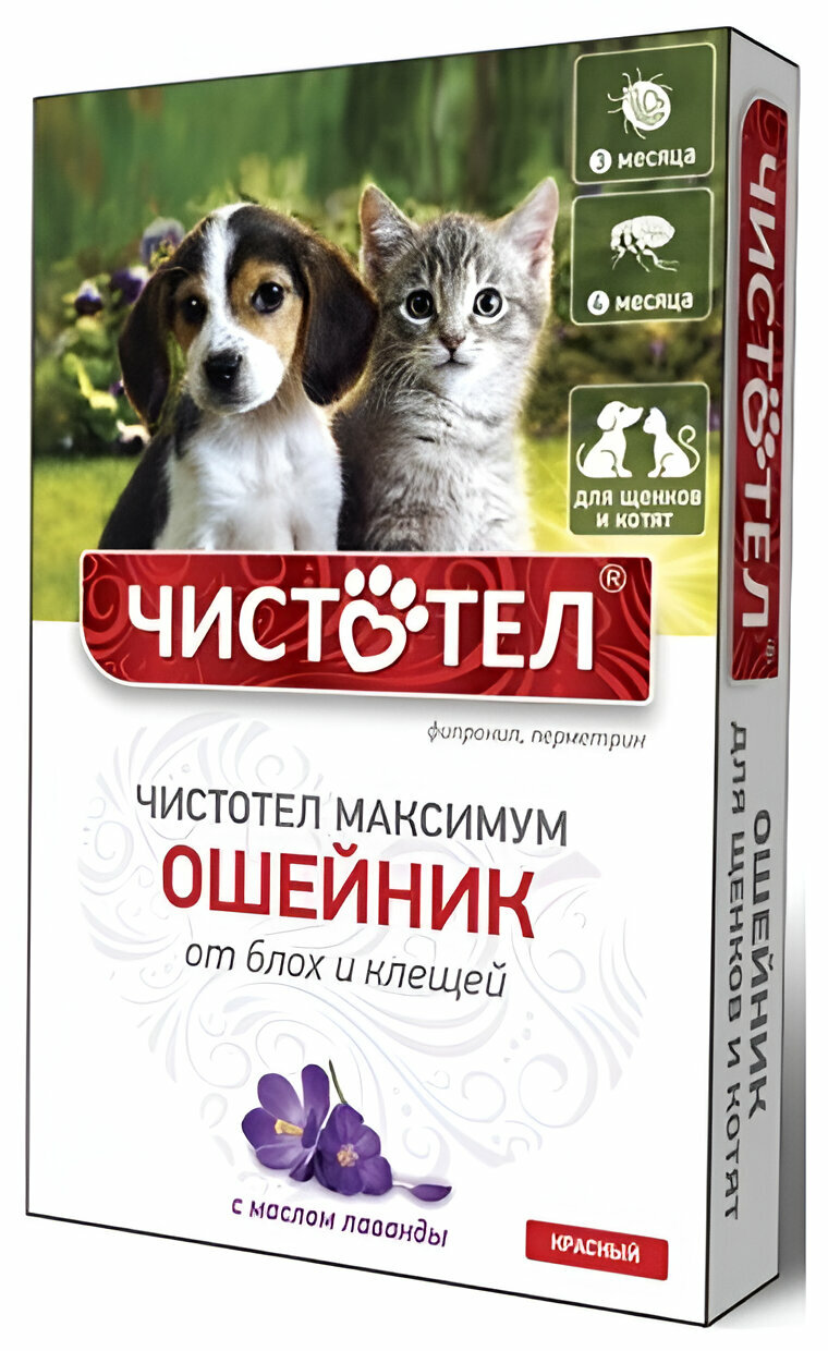 Ошейник Чистотел Максимум от блох и клещей для щенков и котят Юниор, фиолетовый, 50 см