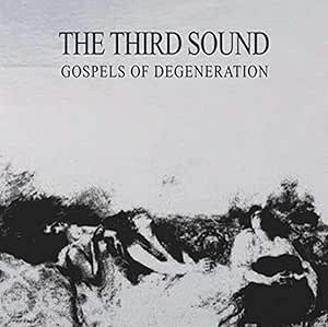 THE THIRD SOUND GOSPELS OF DEGENERATION (Компакт-диск)