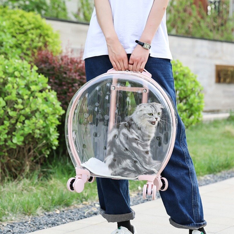 Чехол-тележка Cat Bag, для домашних животных, прозрачный, зеленый в полоску