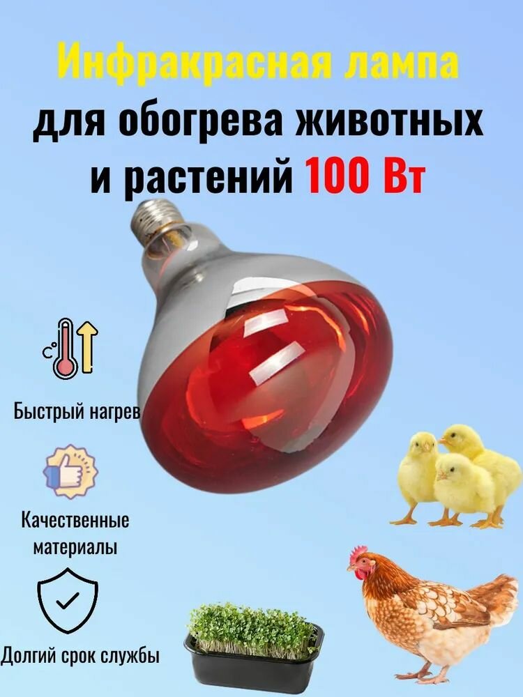 Лампа инфракрасная для обогрева цыплят, кур, свиней, растений и теплиц 100 Вт