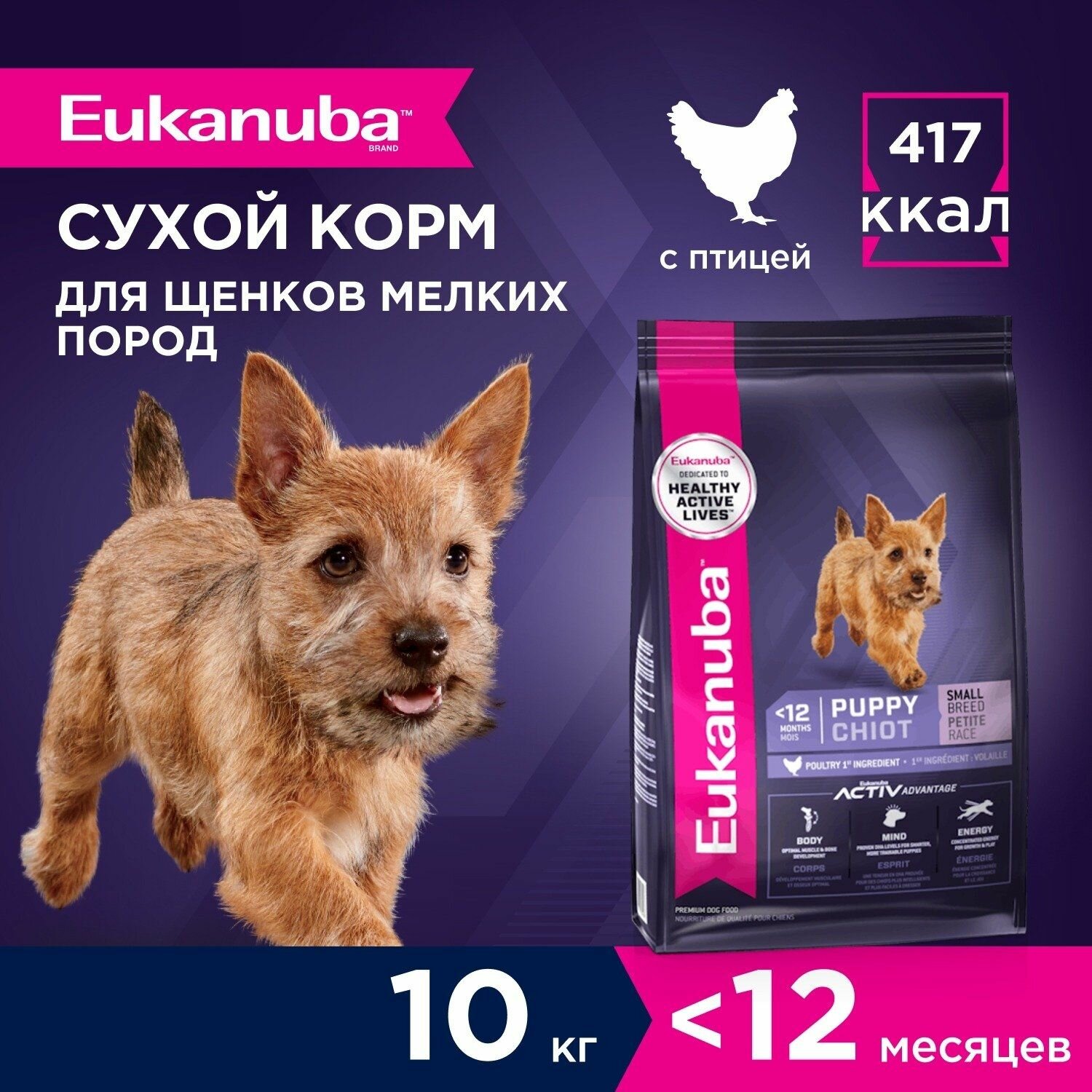 Eukanuba - Сухой корм для щенков мелких пород 10 кг