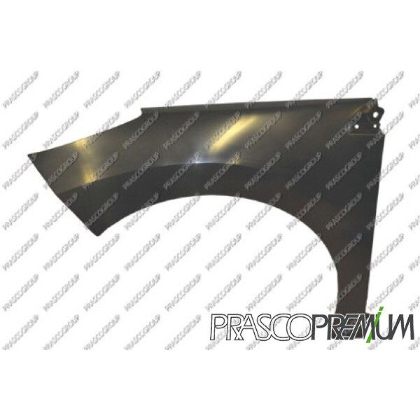 Крыло, PRASCO PG4243014 (1 шт.)