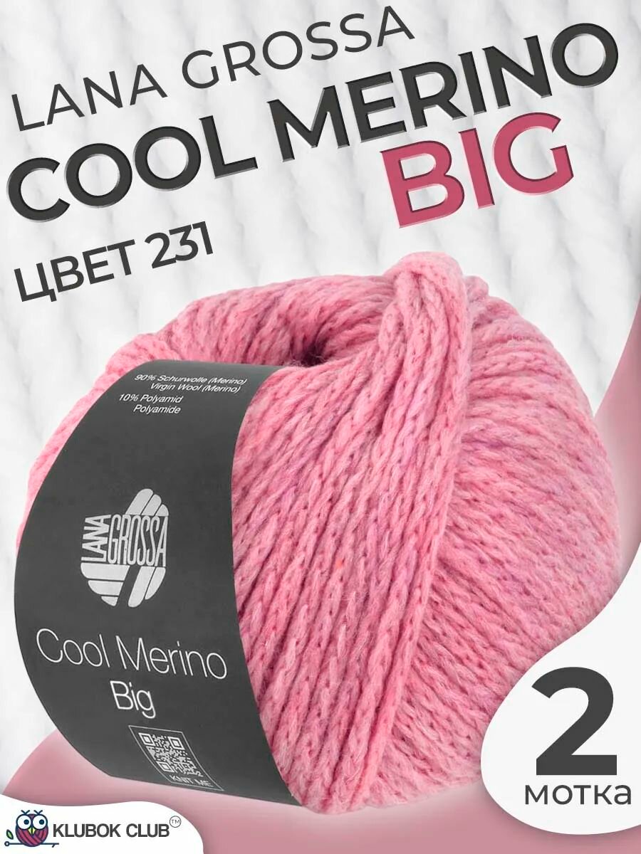Пряжа для вязания Lana Grossa Cool Merino Big шнурок, цвет 231, 2 мотка