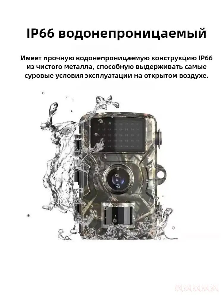 Фотоловушка — фото 1