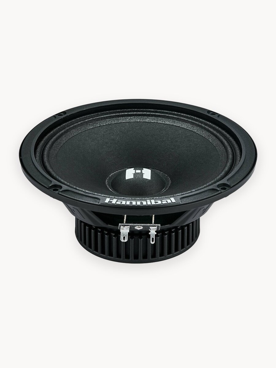 Колонки автомобильные Deaf Bonce Hannibal HM-6E PRO динамики Alphard 16,5 см (6.5 дюймов)