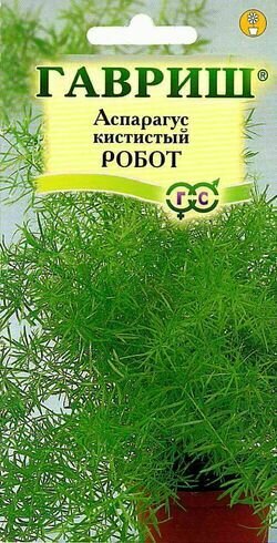 Аспарагус кистистый Робот (0,3 гр.), Гавриш, Россия