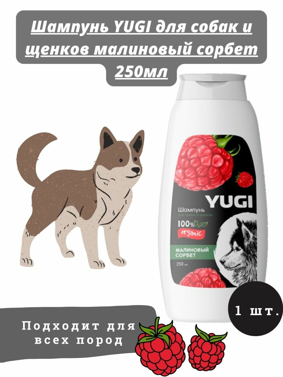Шампунь YUGI для собак и щенков малиновый сорбет 250мл